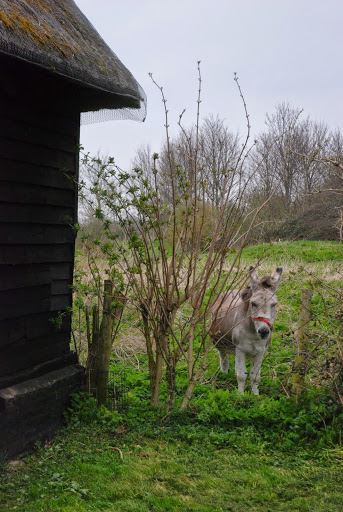 Tithe Barn Trust | A hidden gem in the heart of Landbeach, Cambridgeshire