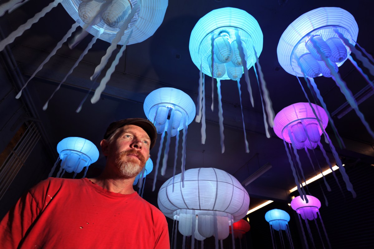 Oracle art installation | Tithe Barn Trust